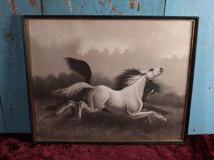 SHOP – Memory Hole Vintage