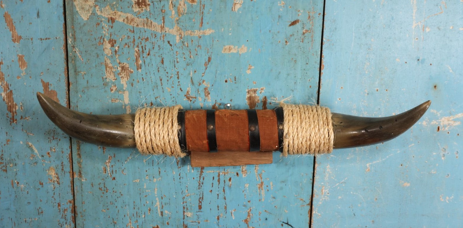 Lot 038 - Vintage Bull / Steer Horn Mount With Rope And Leather, Mount ...