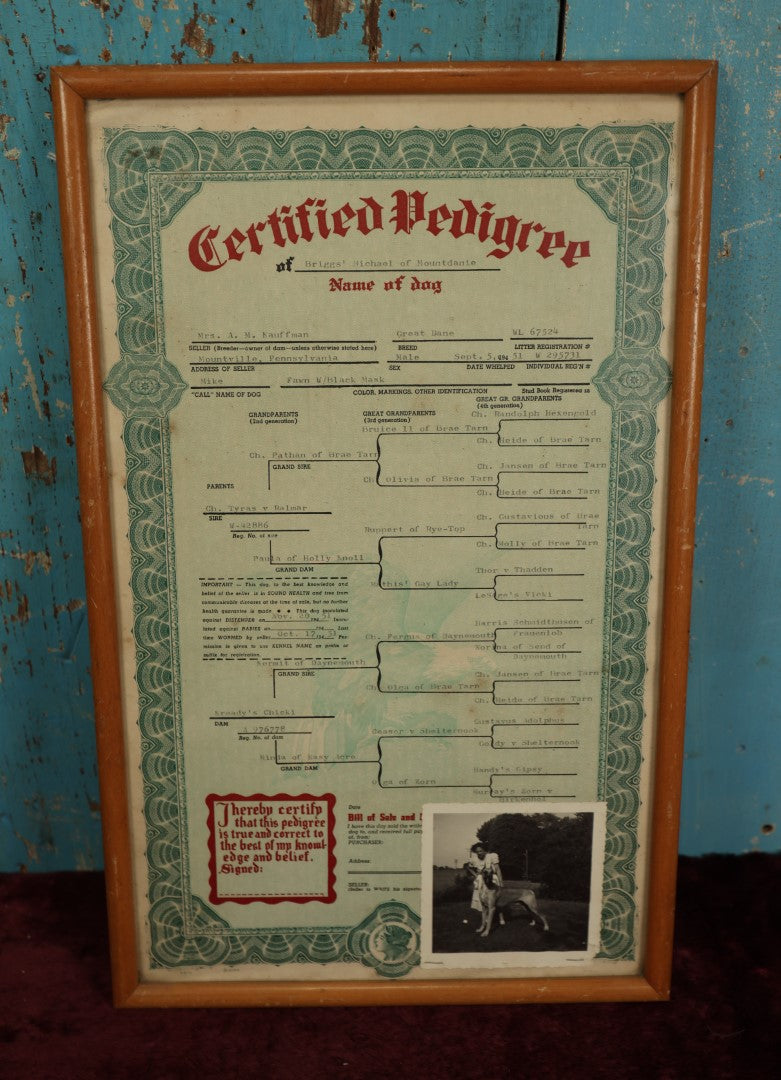 Lot 061 - Vintage 1950s Certified Pedigree Of Great Dane Dog, Briggs ...