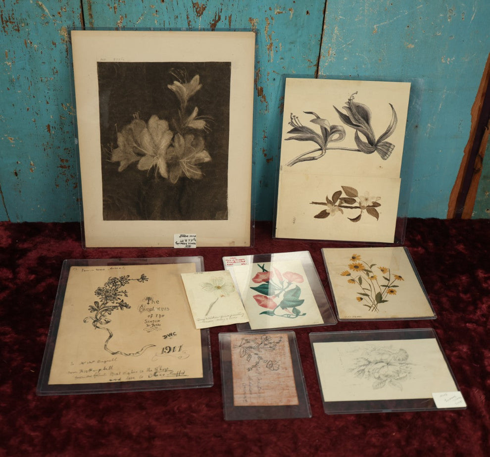 Lot 069 - Grouping Of Eight Assorted Original Botanical Drawings, Wate ...