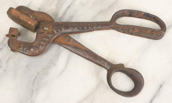 Lot 019 - Antique Cast Iron Dr. Miller Pig Snouter, Patented September ...