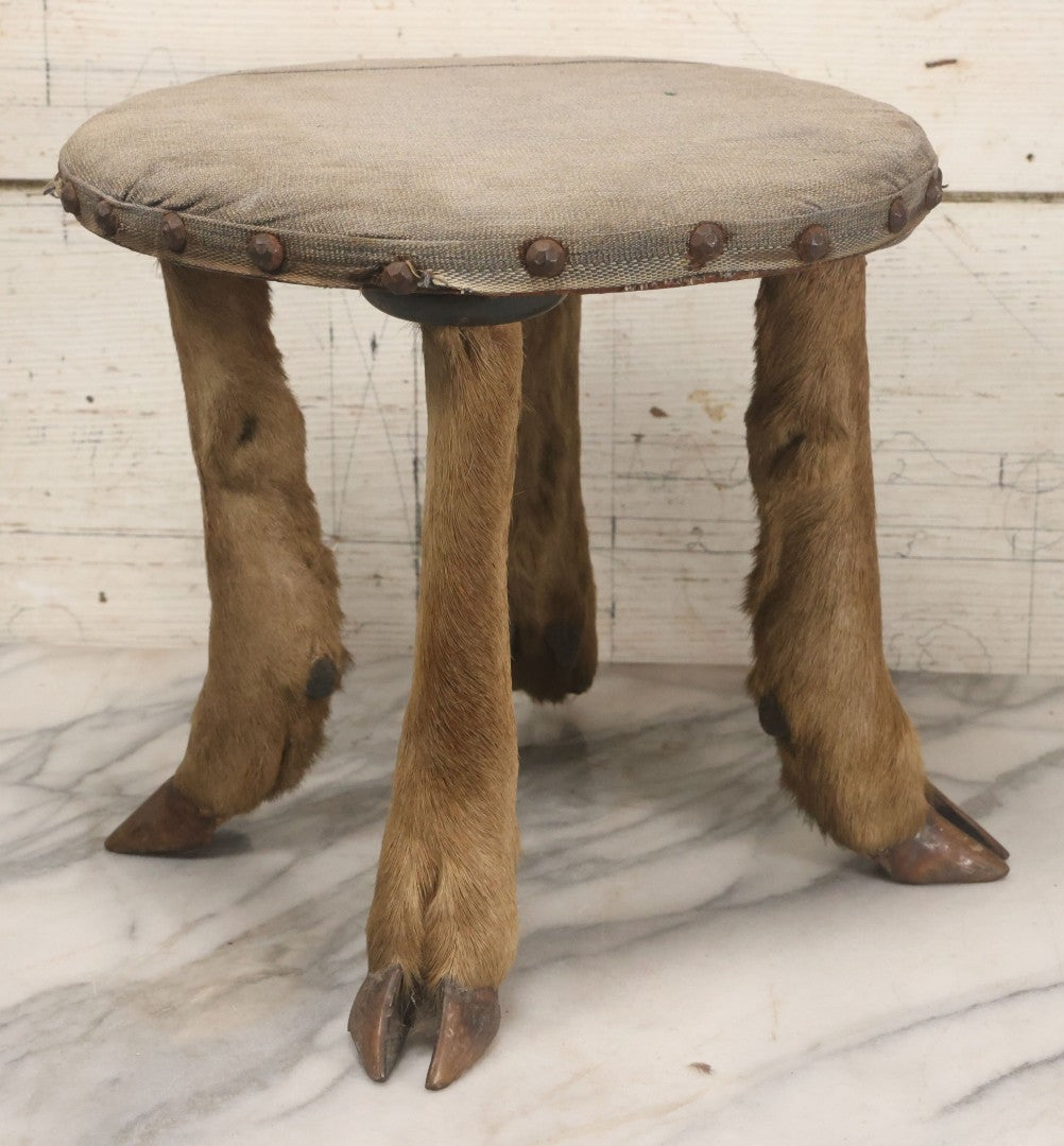 Lot 042 - Vintage Deer Leg And Hoof Taxidermy Foot Stool With Original ...