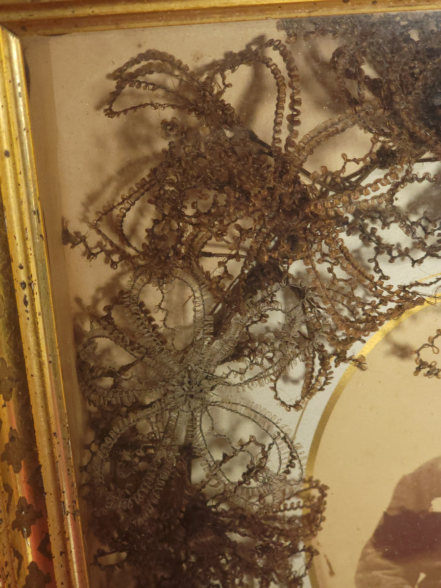 Victorian Memento Mori Mourning Hair Art Wreath Shadow Box With Photo ...