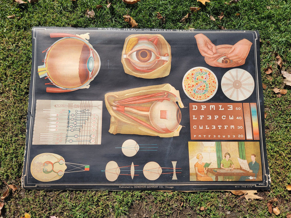 1930s Winslow Health and Hygiene Fabric Classroom Poster: The Eye ...